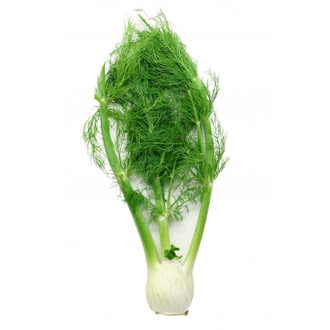 Fennel, each – Nurtured Earth Organics