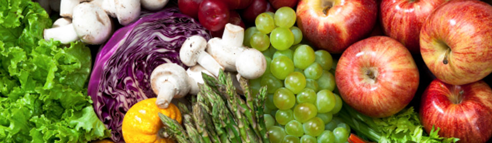 About | Nurtured Earth Organics